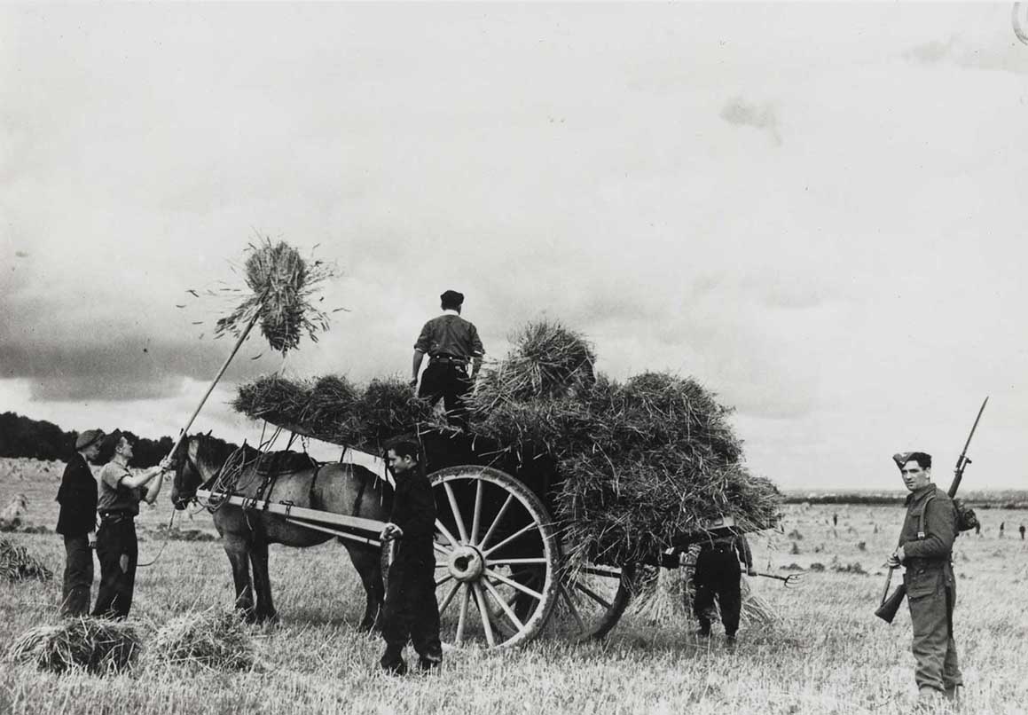 Italian POWs from Royston Camp at Harvest | World War Two | Herts Memories