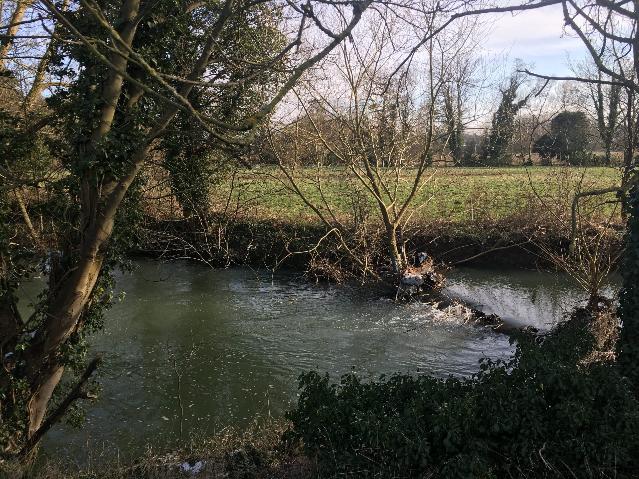 Life in Bengeo in Covid-19 Times, Part 11 | Life in Bengeo in Covid-19 ...