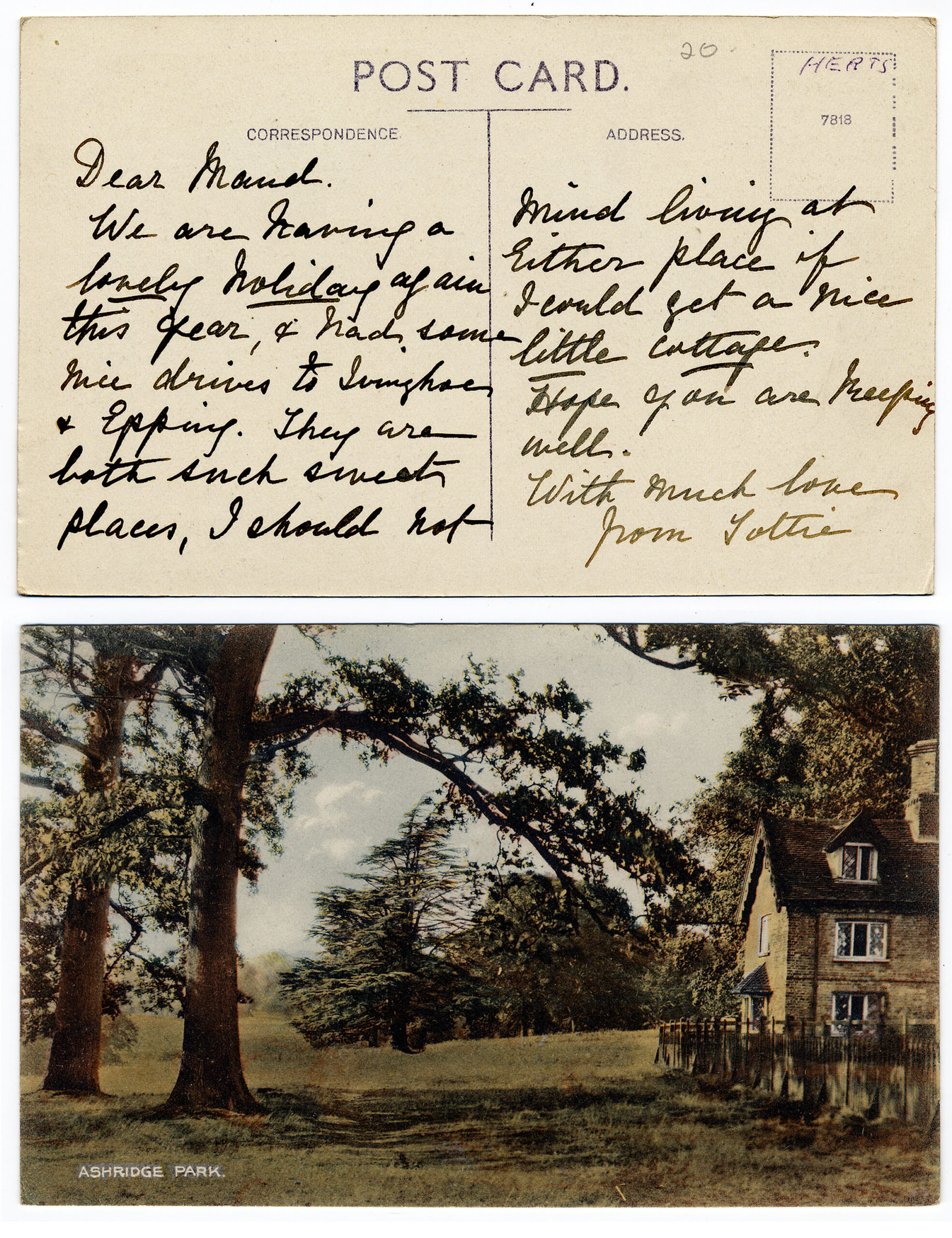 Postcards from the Past | New contributions, Diaries and Letters ...