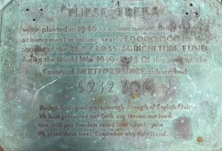 Oaks and Oaklands | 2012 Olympic Legacy, Smallford | Herts Memories