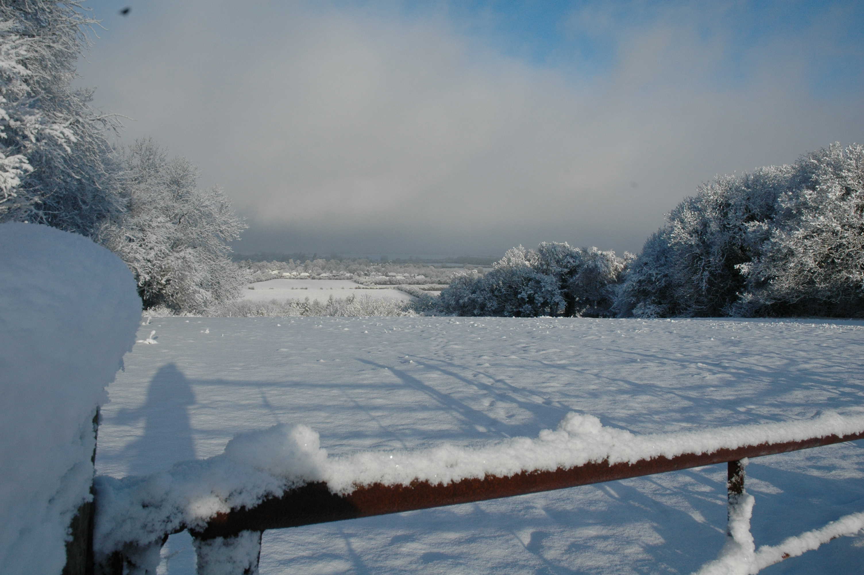 Snowy Winter 2009 to 2010 | Natural World, Wigginton | Herts Memories