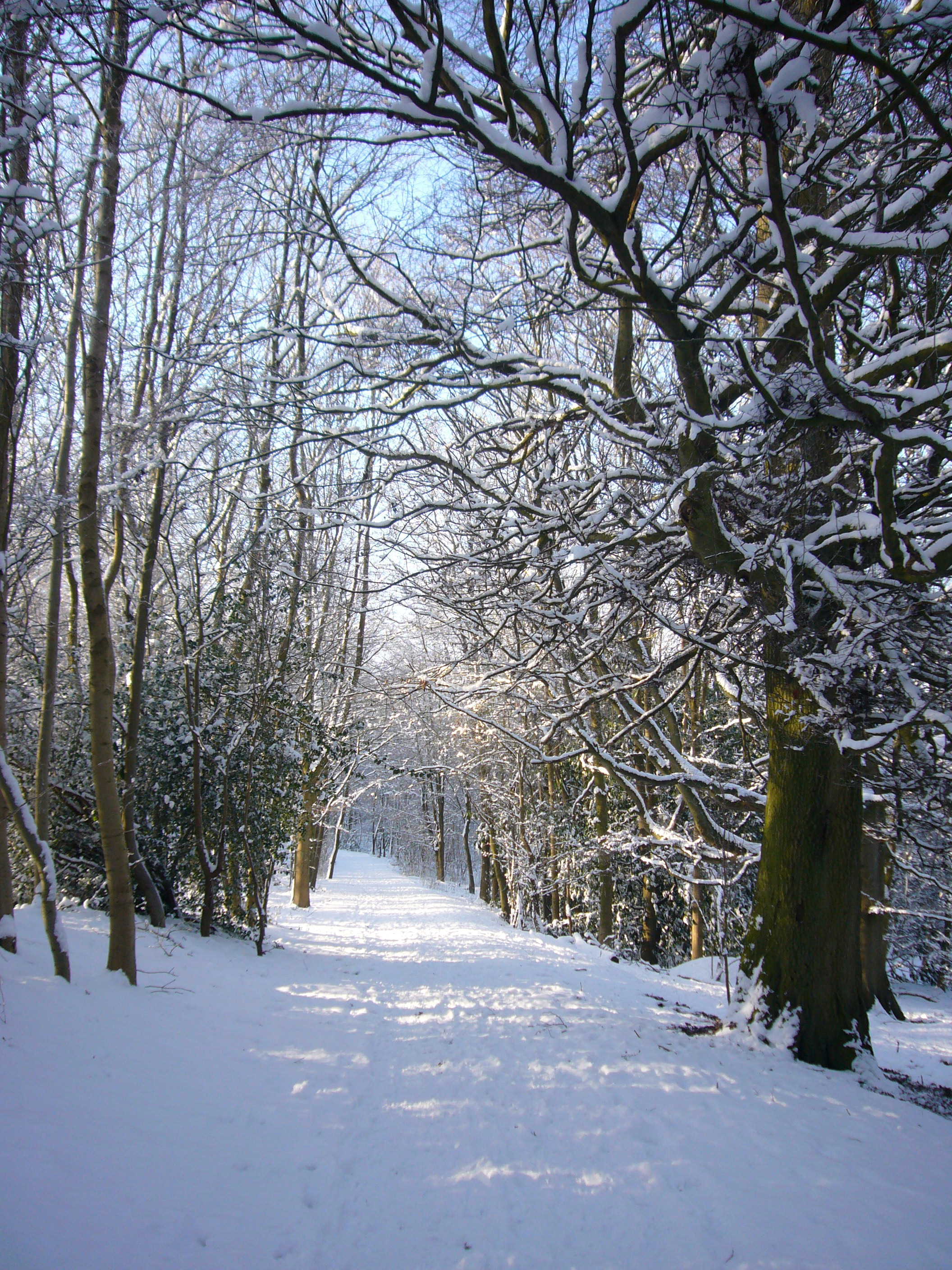 Snowy Winter 2009 to 2010 | Natural World, Wigginton | Herts Memories