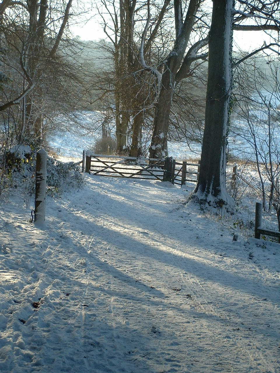 Snowy Winter 2009 to 2010 | Natural World, Wigginton | Herts Memories