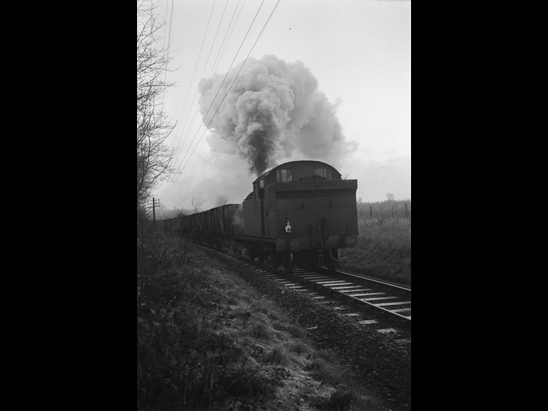 Ayot Greenway photo gallery | Lost Rails | Herts Memories