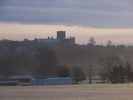 The Countess of Verulam's visit to Africa | Diaries and Letters, St ...