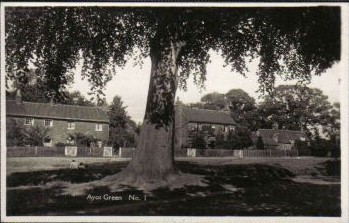 Ayot St Peter - Ayot Green | Ayot St Peter | Herts Memories