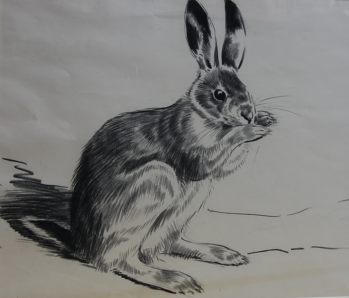 Eileen Soper | Artists and Illustrators | Herts Memories