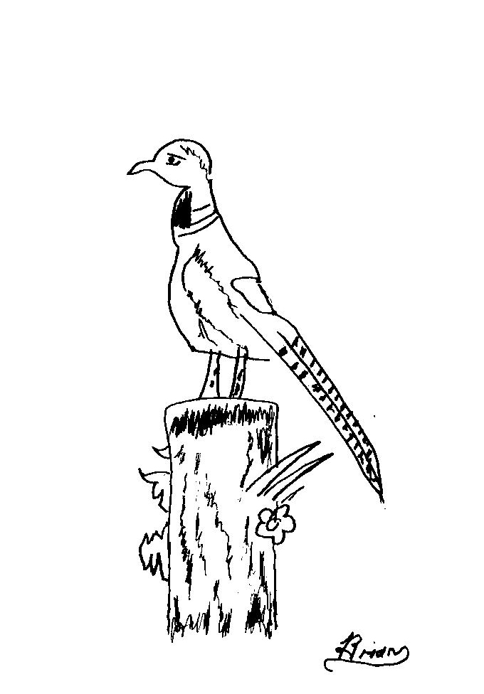 Libury Hall | Art and Artists | Herts Memories