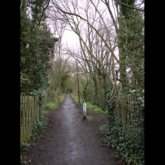 The Ebury Way Photo Gallery | Lost Rails | Herts Memories