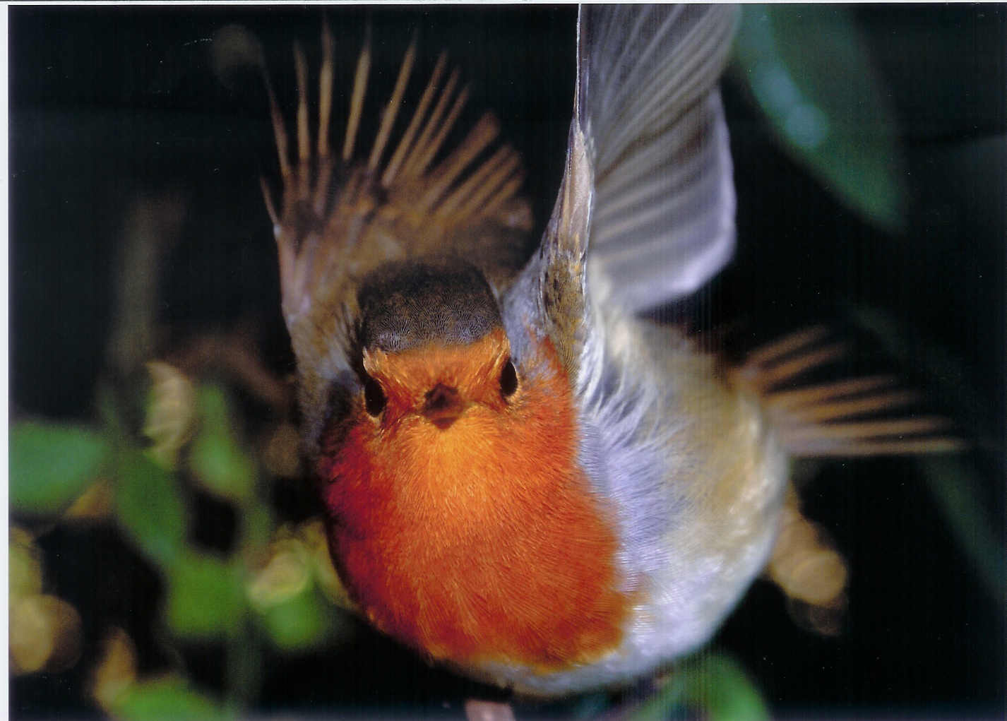 Broxbourne Senior Schools photography Competition 2010 | Photography ...