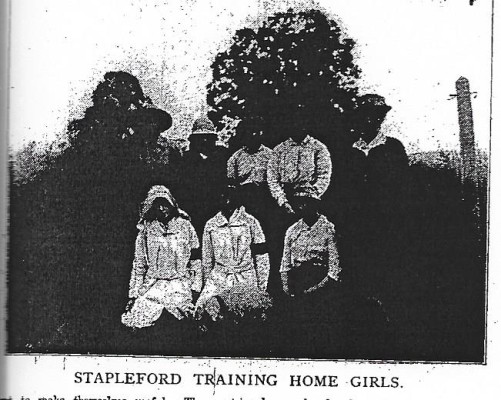 Women, Food and Farming in WW1 | Farms, Women's Land Army, World War ...